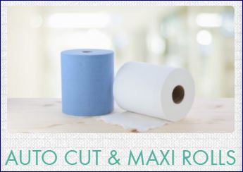 Damas Paper Products Manufacturing Manufacturer, Wholesaler of Auto cut ...